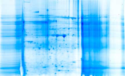 Protein Sample Ultrafiltration Protocols | Merck