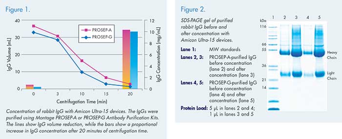 Protein Sample Ultrafiltration Protocols | Merck