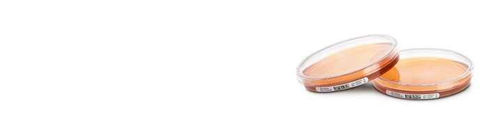 LI - Long Incubation Settle Plates | Merck