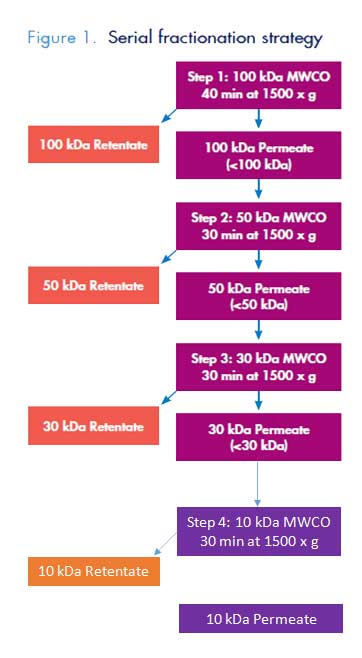 Protein Sample Ultrafiltration Protocols | Merck