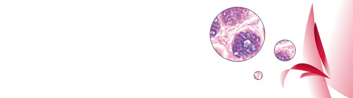 Staining Solutions for Histology | IVD/OEM Materials and Reagents | Merck