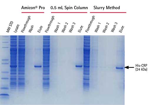 Protein Sample Ultrafiltration Protocols | Merck