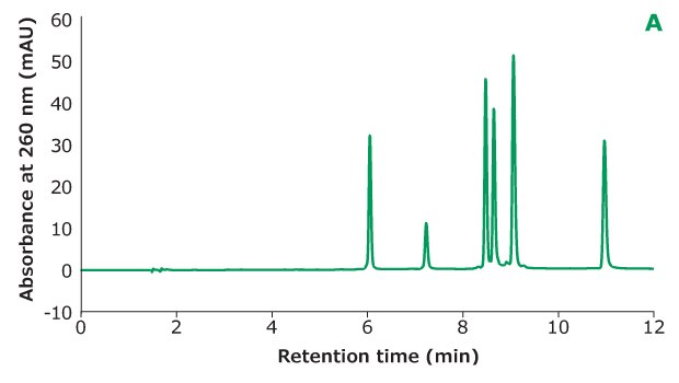 Oligonucleotide Standard 6 Mix LC-UV Analysis