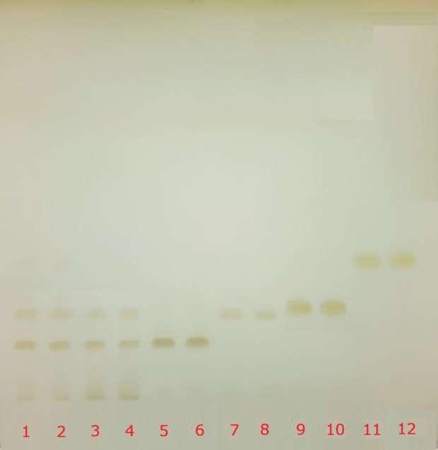 Analysis of Catechins in Green Tea by TLC