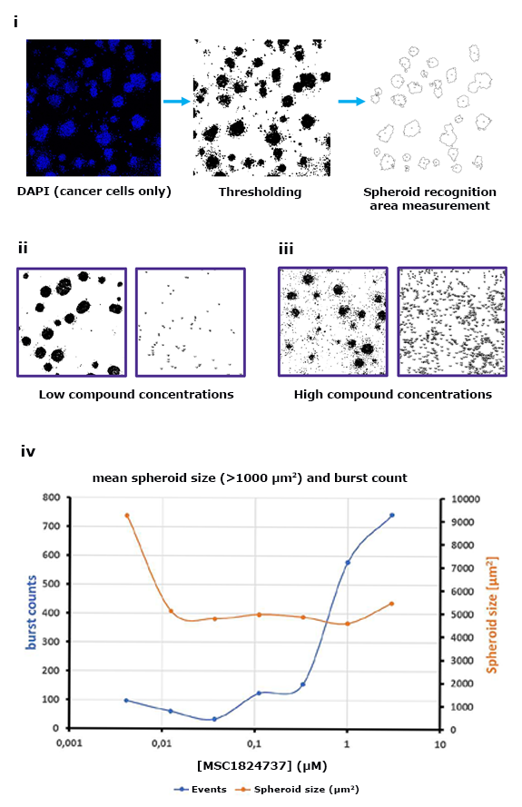 High-Throughput Drug Screening using TrueGel3D® HTS Hydrogel Plates