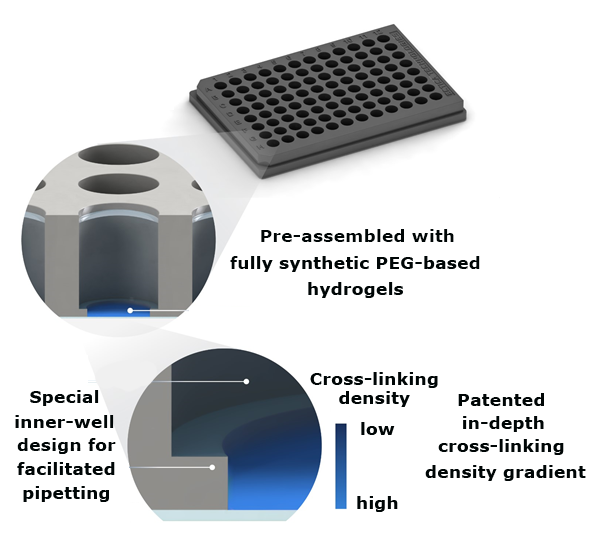 High-Throughput Drug Screening using TrueGel3D® HTS Hydrogel Plates