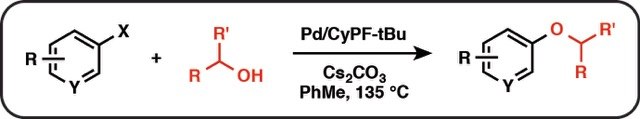 C-O Cross-Coupling of Activated Aryl and Heteroaryl Halides with ...