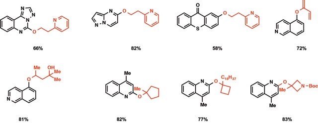 C-O Cross-Coupling of Activated Aryl and Heteroaryl Halides with ...