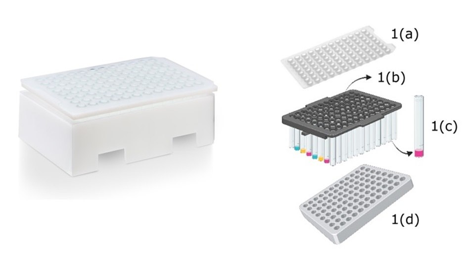 PROTAC Synthesis Kits for Targeted Protein Degradation