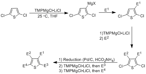 Selective Metalation and Additions