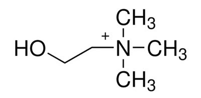 Determination of Choline in Infant Milk Powder