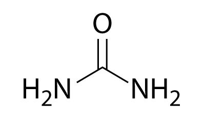 Analysis of Urea in Milk by using TLC Explorer