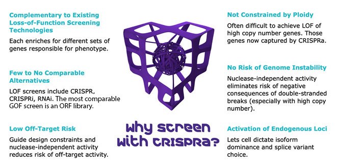 MISSION™ CRISPRa Synergistic Activation Mediator (SAM)