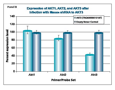Efficient Gene Silencing with MISSION® TRC shRNA