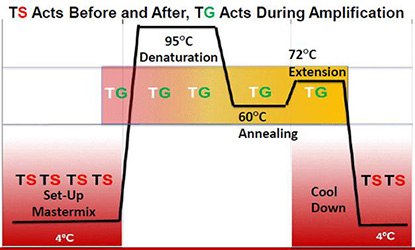 ThermaGenix PCR Additives Reduce Background and Increase Yield