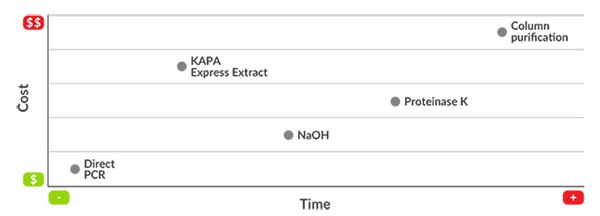 Direct and Crude Extract qPCR