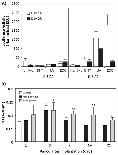 Collagen in Gene Delivery Applications