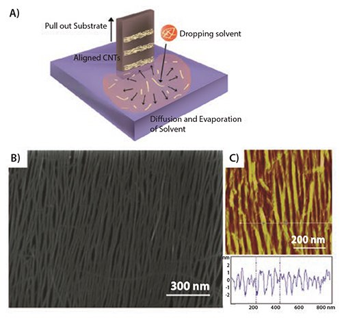 Polymer-Sorted Carbon Nanotubes