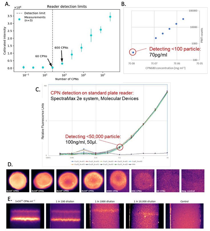 Applications of Iron Oxide Incorporated Conjugated Polymer Nanoparticles