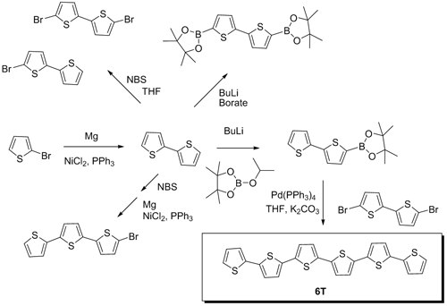 Synthetic Strategy for Large Scale Production of Oligothiophenes