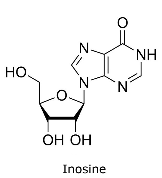 HILIC Analysis of Twelve Nucleosides