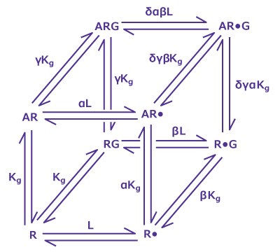 Receptor Interactions