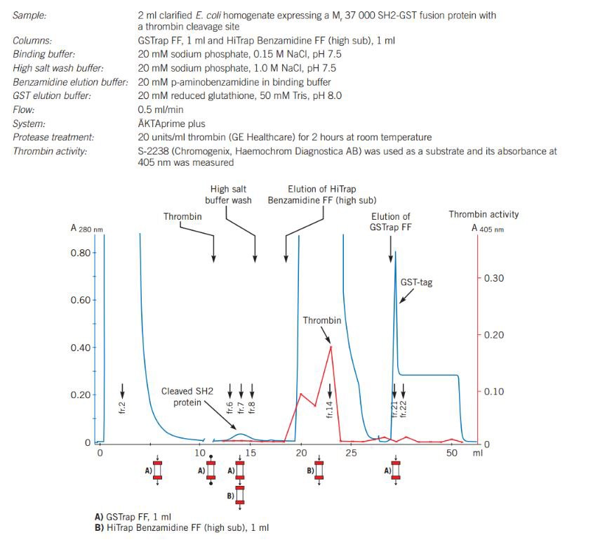 Purifcation or Removal of Serine Proteases, e.g. Thrombin and Trypsin ...