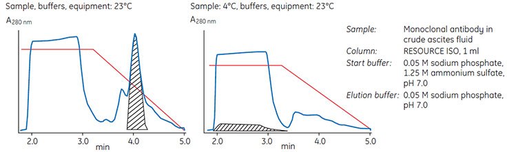 Hydrophobic Interaction Chromatography Setup