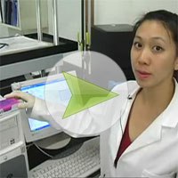 Extract-N-Amp™ FFPE Tissue PCR Protocol
