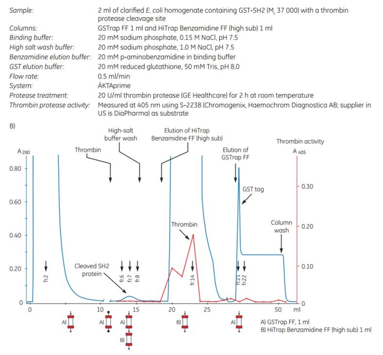 HiTrap® Benzamidine FF for Thrombin & Factor Xa Removal