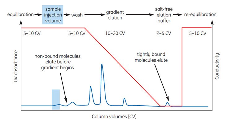 Selectivity and the Properties of a HIC Medium