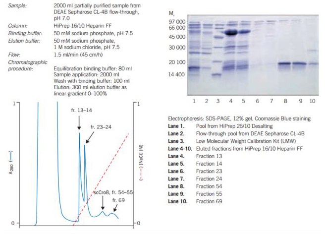 Performing a Separation of DNA binding proteins with Cytiva Products ...