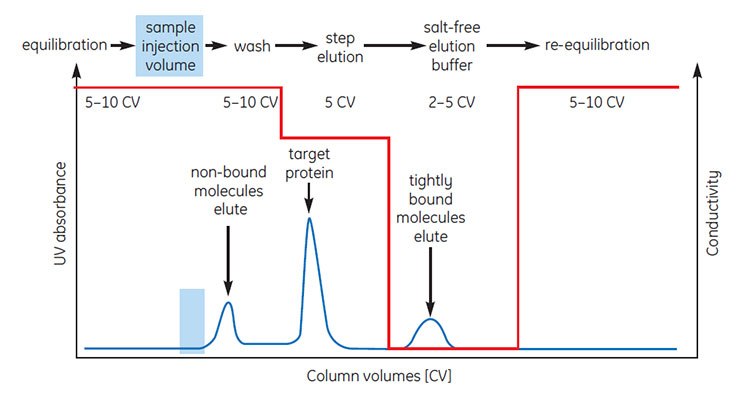 Selectivity and the Properties of a HIC Medium