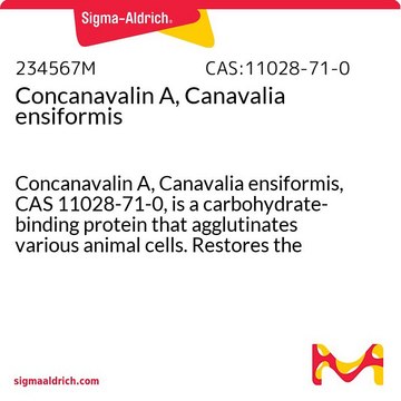 Concanavalin A, Canavalia ensiformis Concanavalin A, Canavalia ...