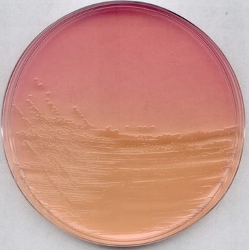 GranuCult ENDO agar 500 g