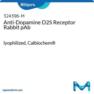 Anti-Dopamine D2S Receptor Rabbit pAb lyophilized, Calbiochem® | Sigma ...