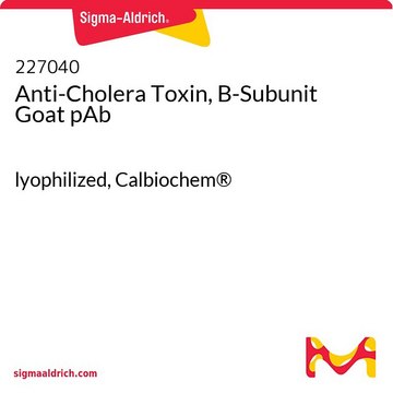 Anti-Cholera Toxin, B-Subunit Goat pAb lyophilized, Calbiochem® | Sigma ...
