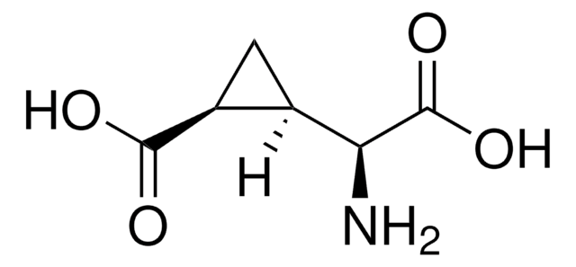 (2S,3R,4S)-α-(Carboxycyclopropyl)glycine solid 117857-95-1